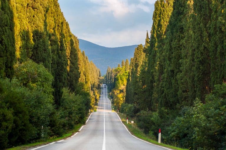 Iconic Trees in Tuscany + Where to Photograph Them - The Tuscan Mom