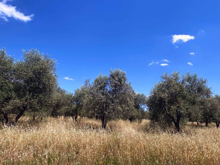 TUSCANY IN SPRING – Where to Go + Travel Planning Tips (from a Local ...