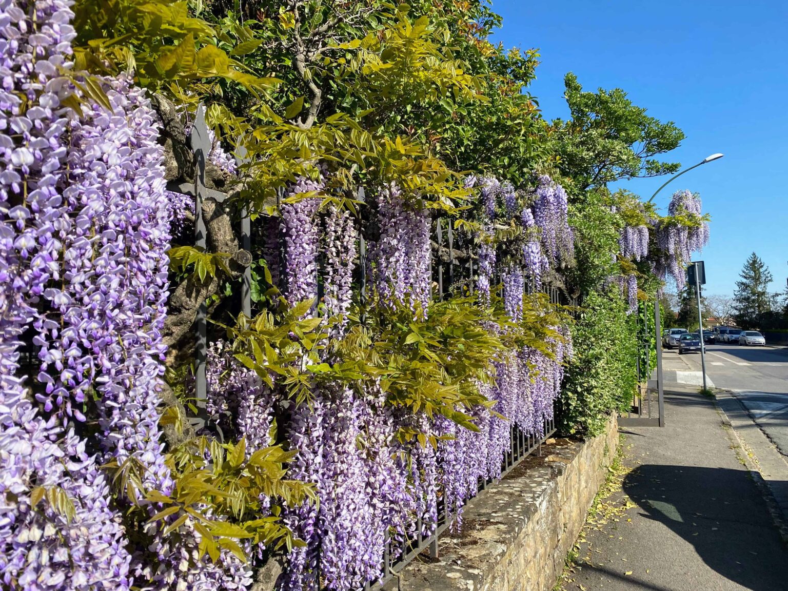 TUSCANY IN SPRING – Where to Go + Travel Planning Tips (from a Local ...